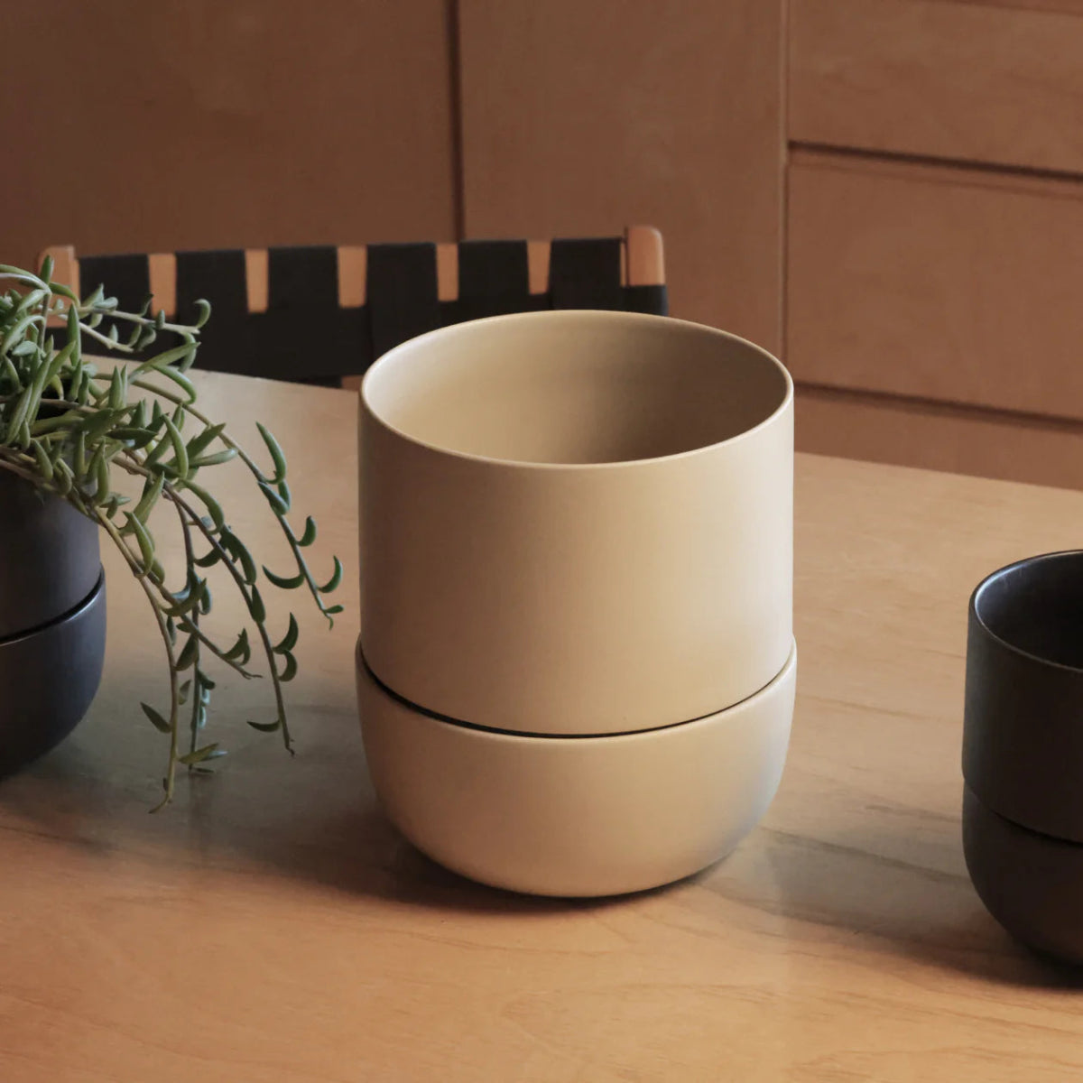 Fable Ceramic Planter – Minimalist Indoor Pot | Earthloom